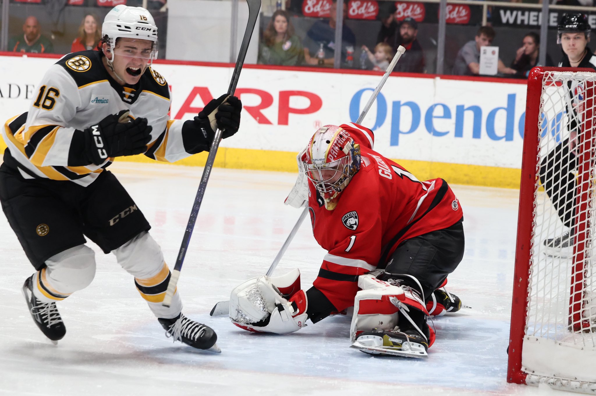 Providence Bruins Clinch Playoff Spot in 3-1 Win at Charlotte – Black N ...