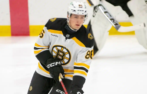 Boston Bruins Assign Defensive Prospect Loke Johansson to the ECHL ...