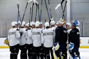 Boston Bruins Release Prelininary Development Camp Schedule and Roster ...
